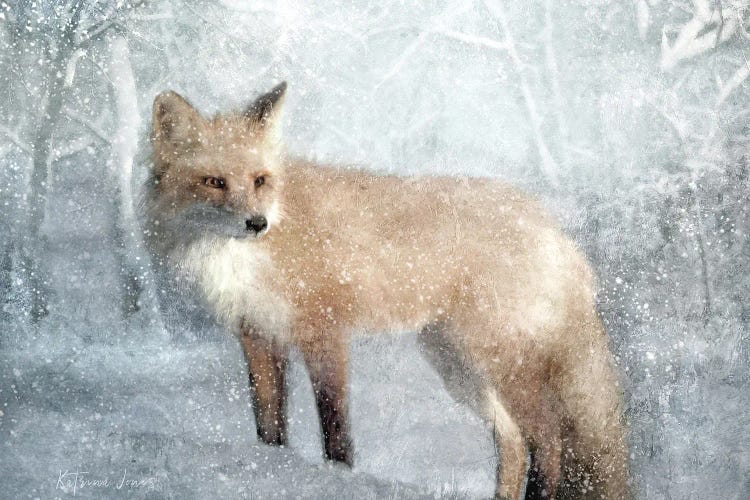 Arctic Fox In The Snow Canvas Wall Art by Jane Rix | iCanvas