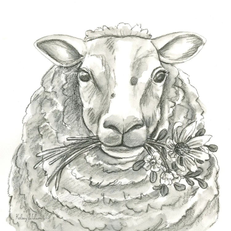 Watercolor Pencil Farm IX-Sheep Canv - Canvas Wall Art | Kelsey Wilson