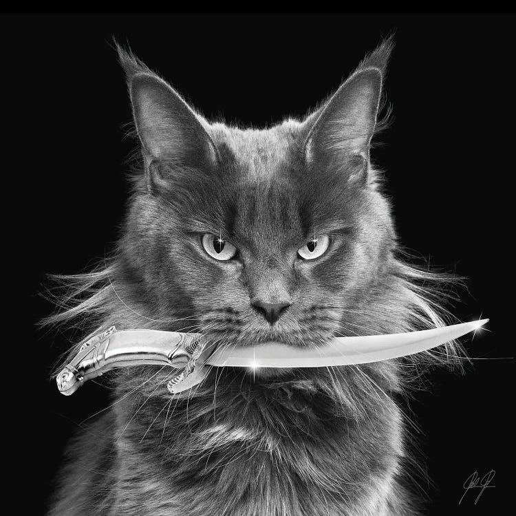Killer Cat I Canvas Wall Art by Kathrin Federer | iCanvas
