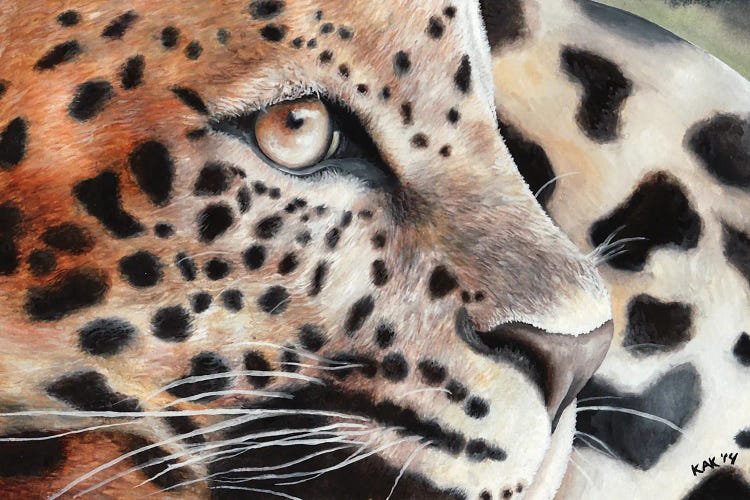 Leopard Canvas Wall Art by KAK Art & Designs | iCanvas