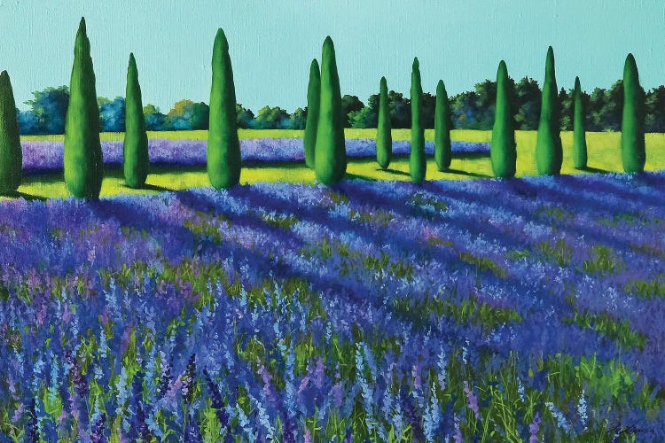 Tuscan Lavender Canvas Wall Art by Johnathan Harris | iCanvas