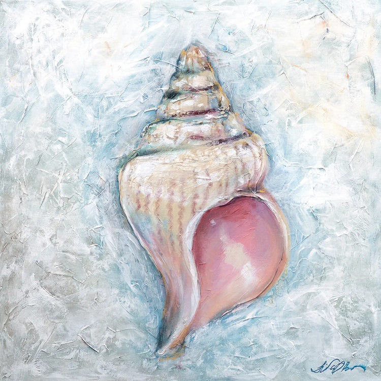 Shell Canvas Wall Art by Linda Olsen | iCanvas