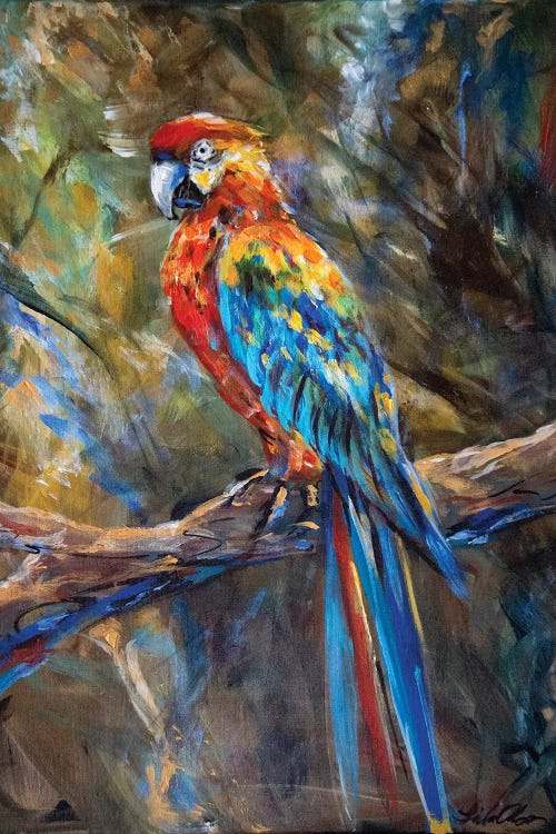 Parrot Canvas Wall Art by Linda Olsen | iCanvas