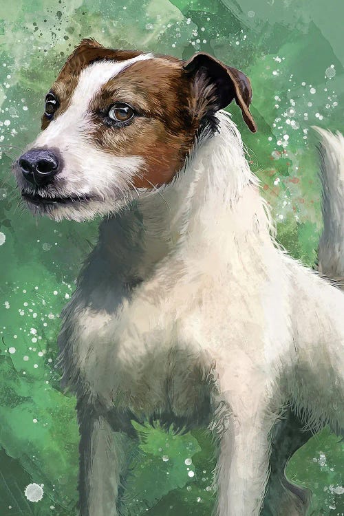 Jack Russell Terrier Puppy Canvas Wall Art by Jane Rix | iCanvas