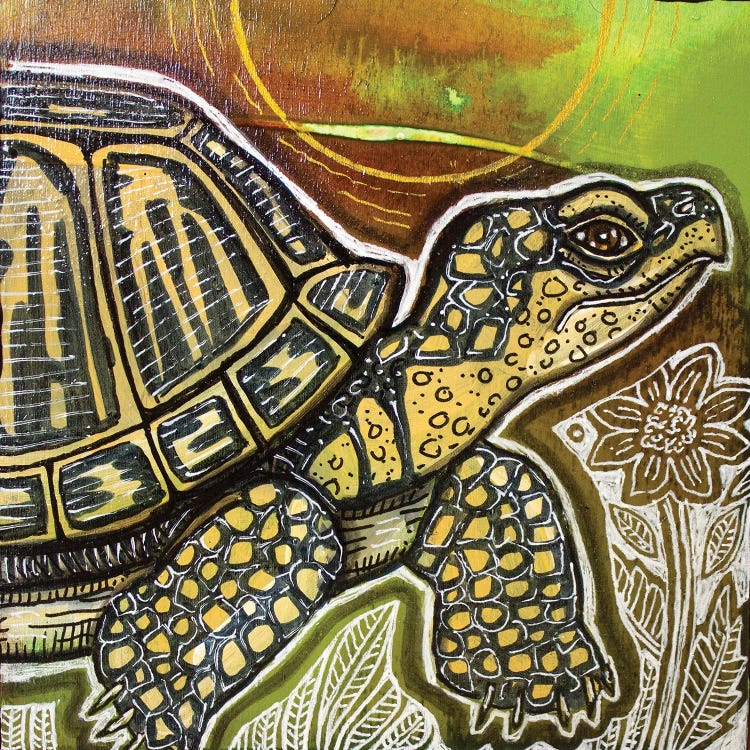 Small Turtle Canvas Wall Art by Lynnette Shelley | iCanvas