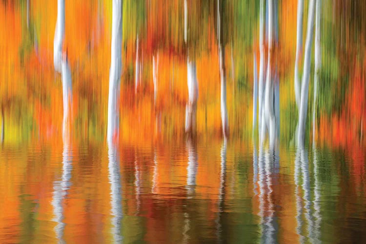 Orange Reflection Canvas Wall Art by Marco Carmassi | iCanvas