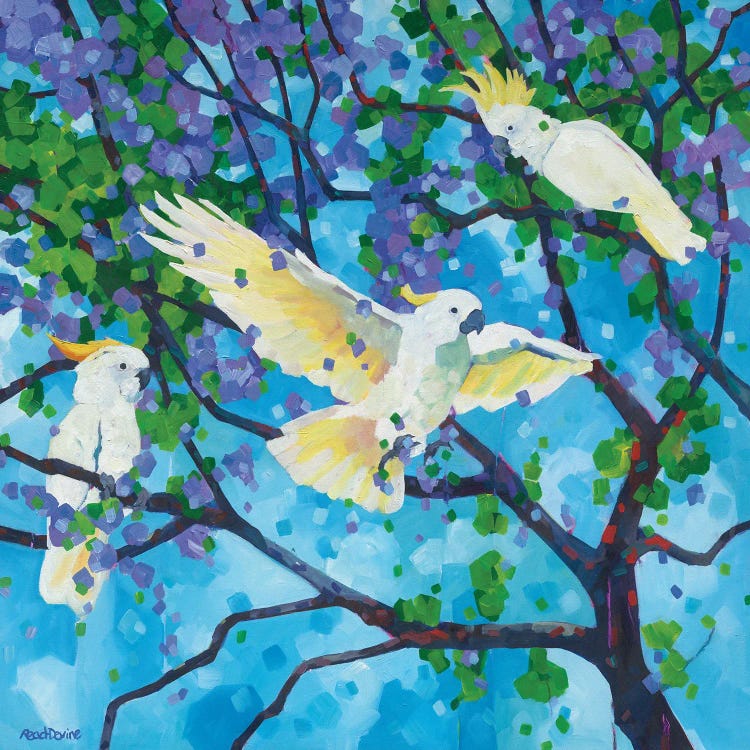 Larrikins Canvas Wall Art by Melissa Read-Devine | iCanvas