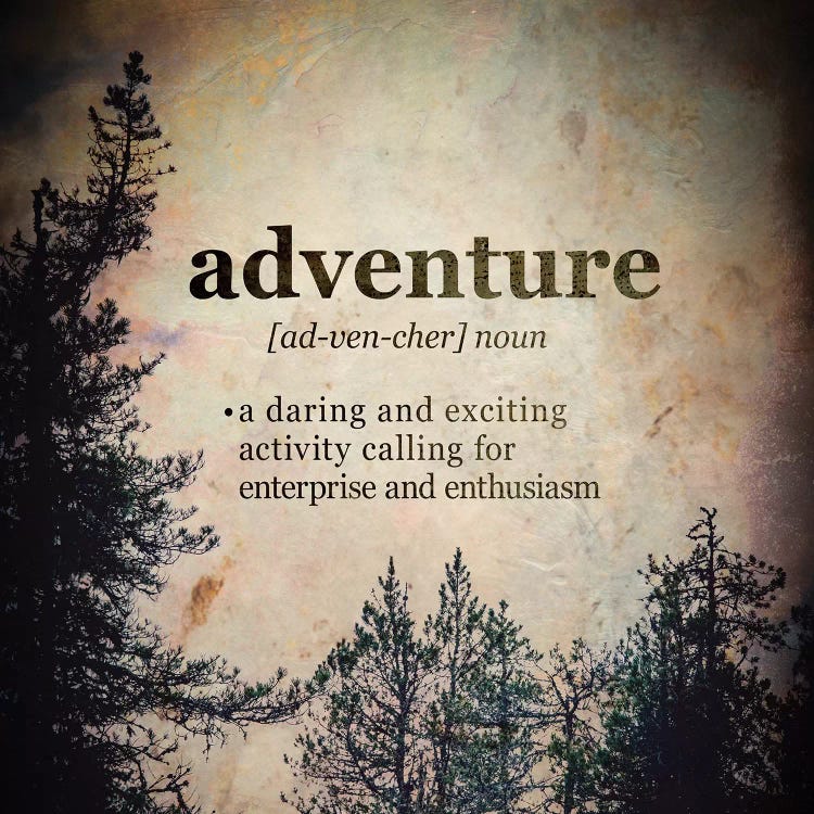 In Adventure Dictionary Definition F - Canvas Wall Art | Nature Magick