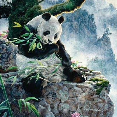 Jan Martin Mcguire Paintings