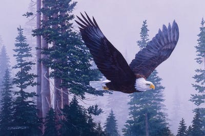 Jan Martin Mcguire Paintings