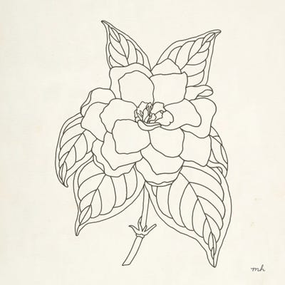 How To Draw A Gardenia Flower | Best Flower Site