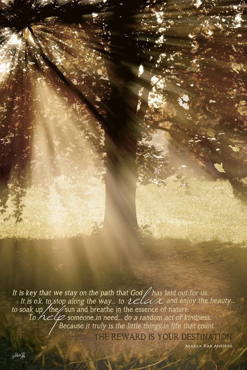 Stay On The Path Canvas Wall Art by Marla Rae | iCanvas
