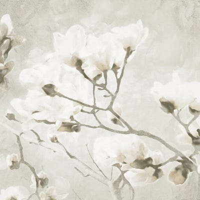 Hanging White Flowers