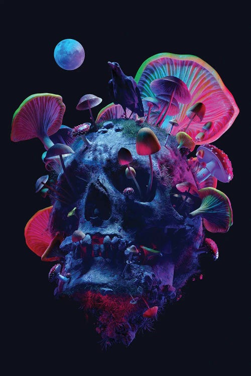 Enchanted Death Canvas Wall Art by Nicebleed | iCanvas