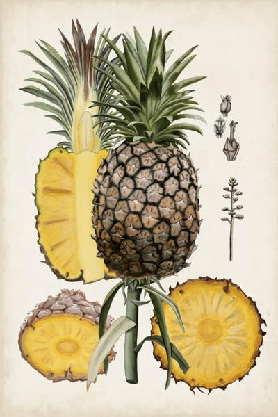 Pineapple Art Print