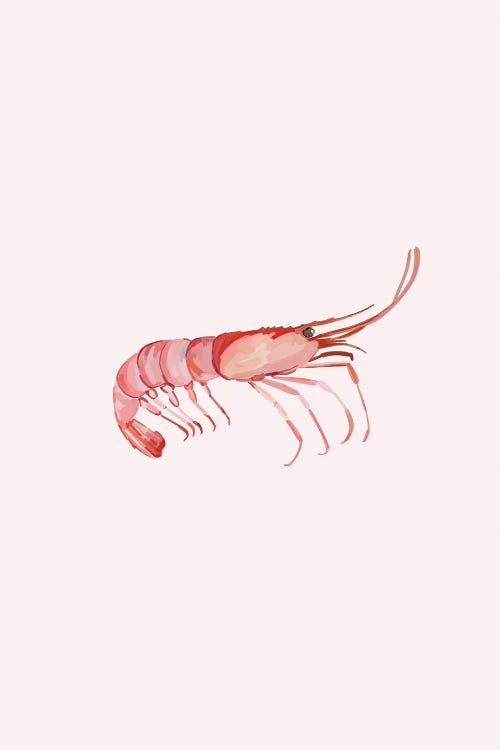 Dancing Shrimp Canvas Wall Art by Teddi Parker | iCanvas