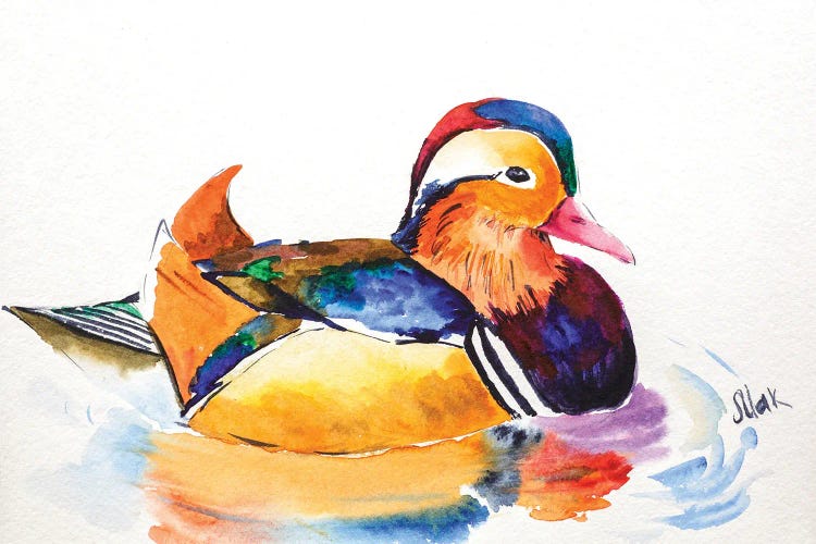 Mandarin Duck Canvas Wall Art by Nataly Mak | iCanvas
