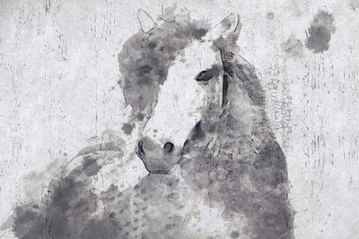 White Dapple Horse