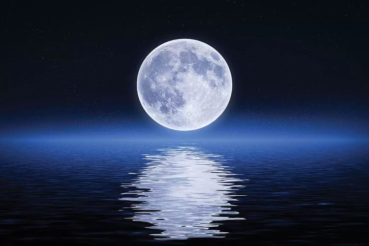 Moon Reflection Canvas Wall Art by Bess Hamiti | iCanvas