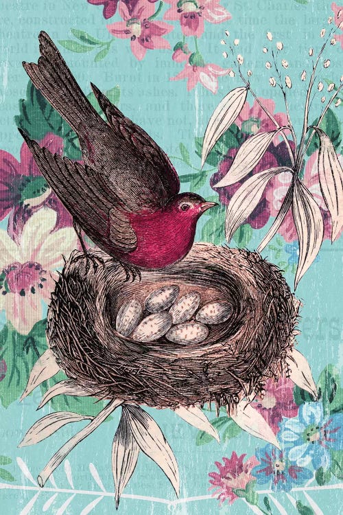 Bird Nest Collage Canvas Wall Art by Piddix | iCanvas