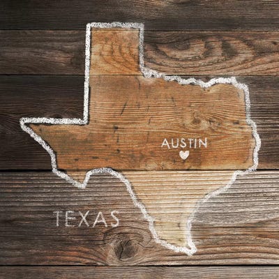 Texas State Canvas Art by Lanre Studio | iCanvas