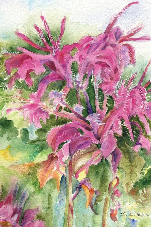 Galena Flower Canvas Wall Art by Paula Nathan | iCanvas