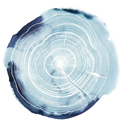 Tree Rings Art