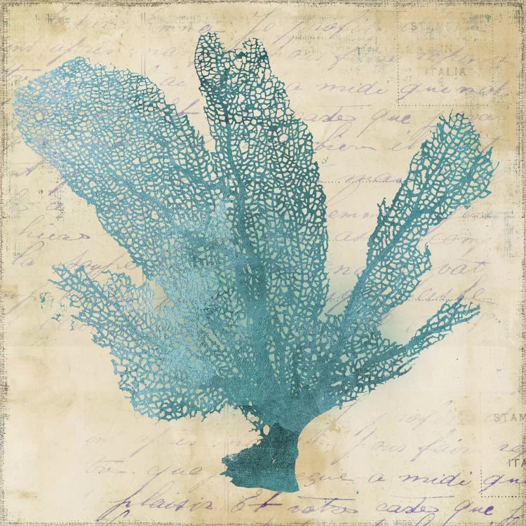 Blue Coral I Canvas Wall Art by PI Studio | iCanvas