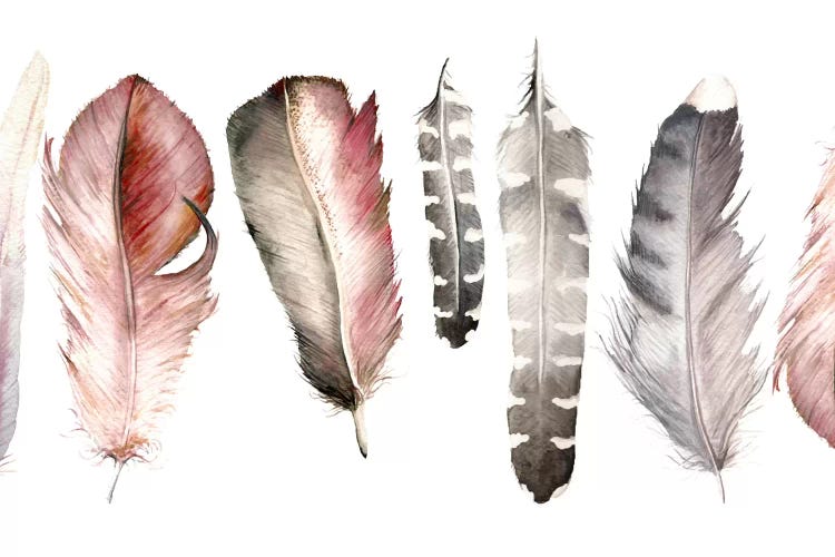 Vintage Feathers II Canvas Wall Art by Eva Watts | iCanvas