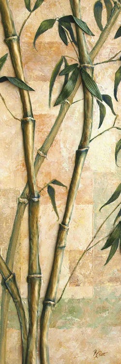 Bamboo Canvas Wall Art by Ruth Aslett | iCanvas