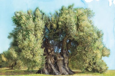 Greek Tree Art