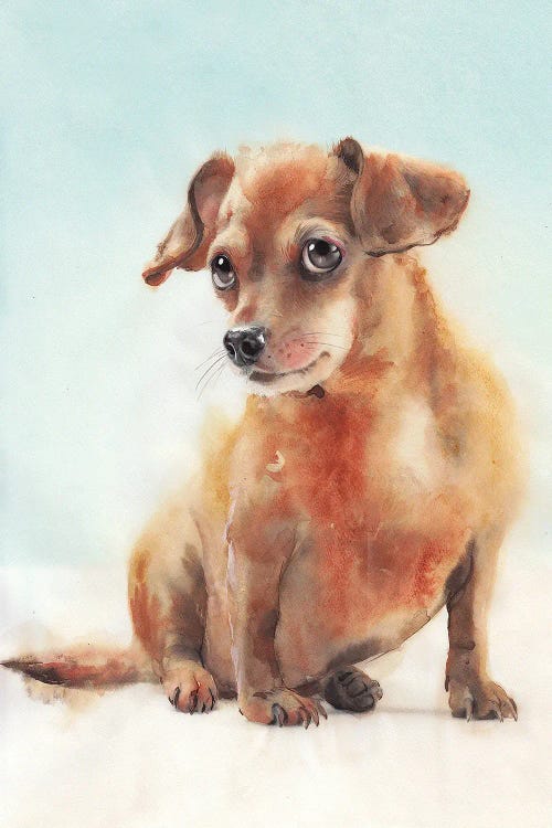 Ghost Eye Dog - Australian Shepherd C - Canvas Wall Art | Judith Stein
