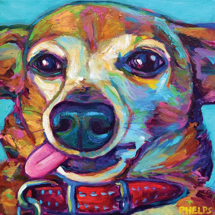 Chiweenie Canvas Wall Art by Robert Phelps | iCanvas