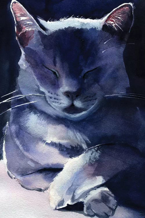 Russian Blue Canvas Wall Art by Rachel Parker | iCanvas