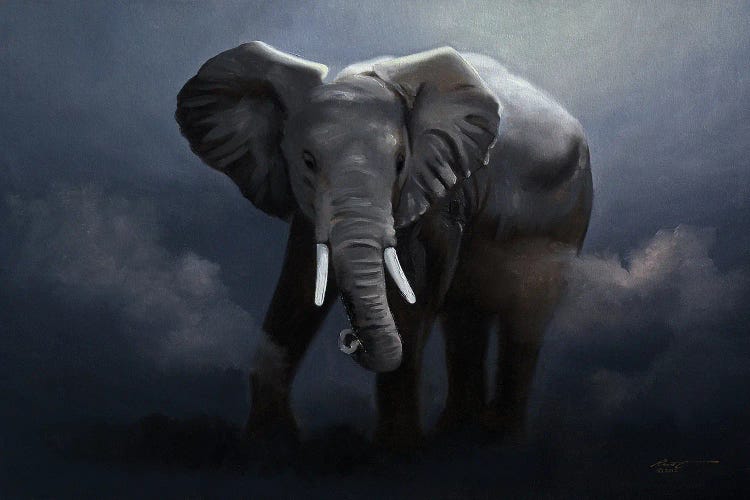 Elephant Running In The Wild Canva - Canvas Wall Art | D. "Rusty" Rust