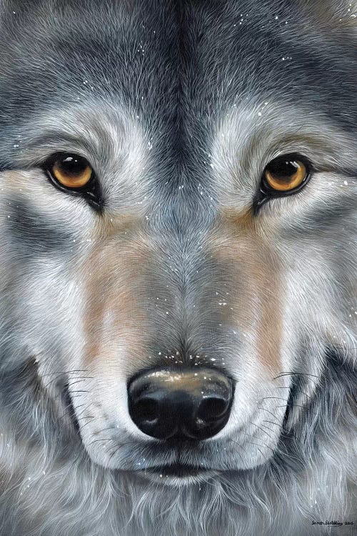 Wolf Face Canvas Wall Art by Charles Lynn Bragg | iCanvas