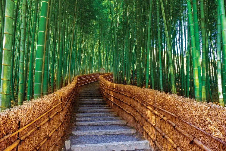 Relaxing Bamboo Grove, Kyoto,Japan - Canvas Wall Art | Susanne Kremer