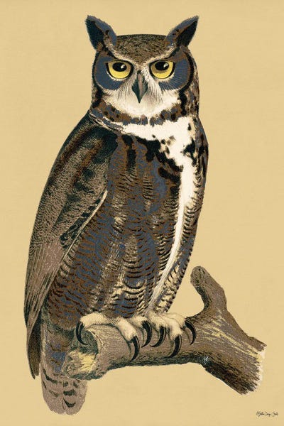 Awesome Owl Drawing