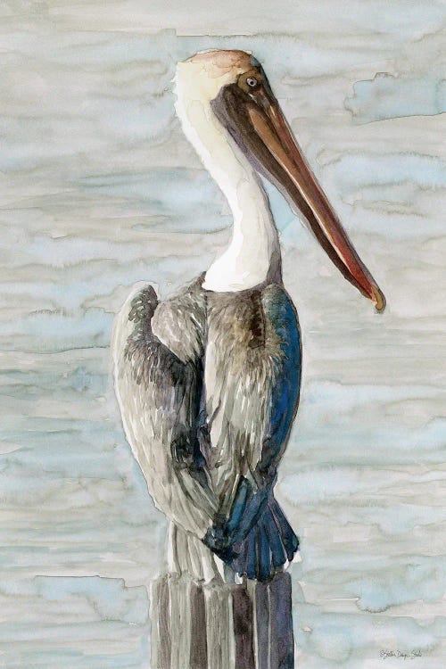 Brown Pelican I Canvas Wall Art by Stellar Design Studio | iCanvas
