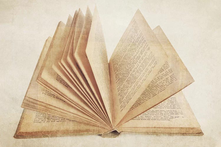 Open Book Canvas Wall Art by Saint and Sailor Studios | iCanvas