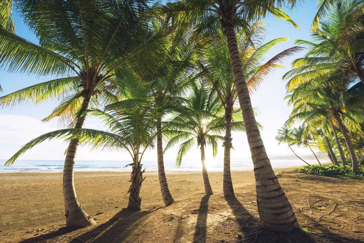 Surf On Beach At Sunset, Culebra Island, Puerto R - Canvas Wall Art