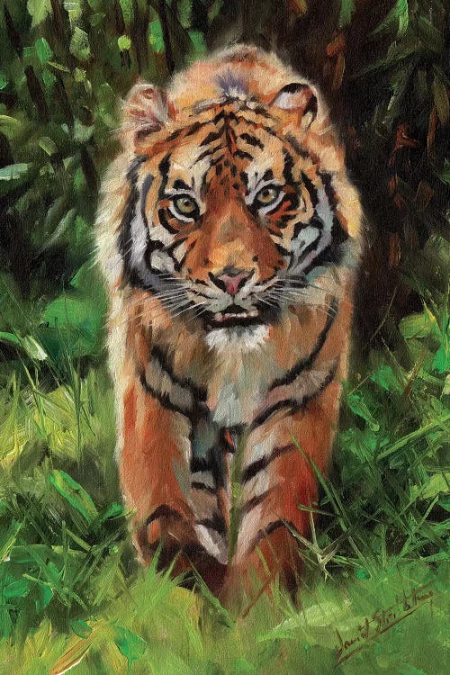 Tiger Prowl Canvas Wall Art by David Stribbling | iCanvas