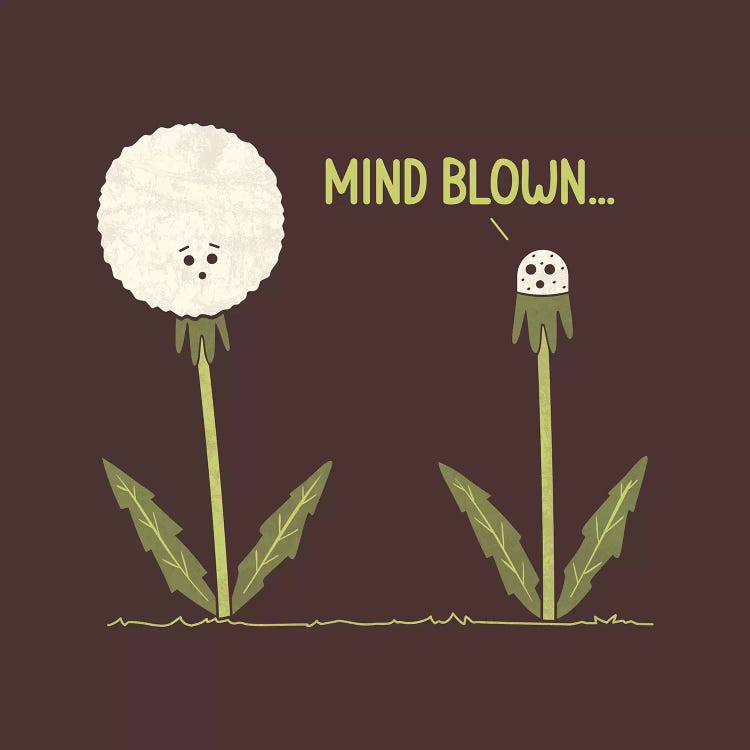 Mind Blown Canvas Wall Art by HandsOffMyDinosaur | iCanvas