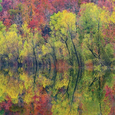 Waterfall, Mulberry River, Arkansas Canv - Canvas Art | Tim Fitzharris