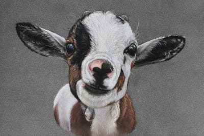 Cute Goat Art