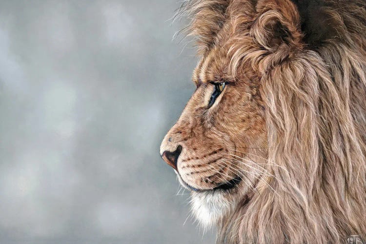 Crimson Lion Pride Canvas Wall Art by Spacescapes | iCanvas