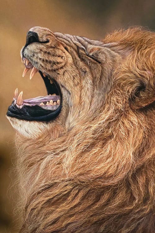 Crimson Lion Pride Canvas Wall Art by Spacescapes | iCanvas