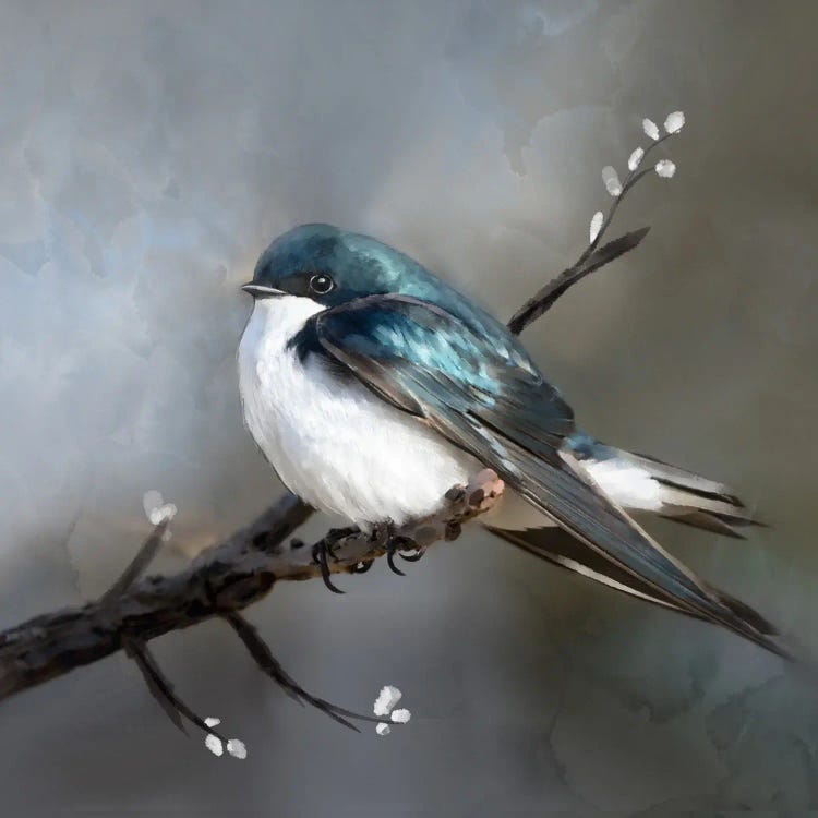 Little Bird On A Perch Canvas Wall Art by Thomas Little | iCanvas