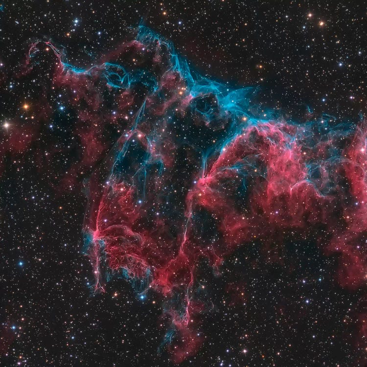 The Bat Nebula (NGC 6995) Canvas Wall Art by Michael Miller | iCanvas