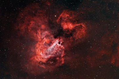 Paintings Swan Nebula